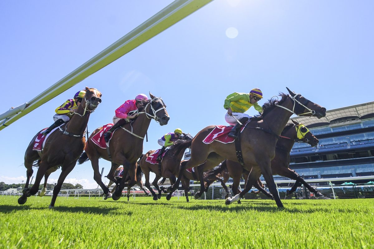 The Big Dance on Cup Day - Royal Randwick Racecourse