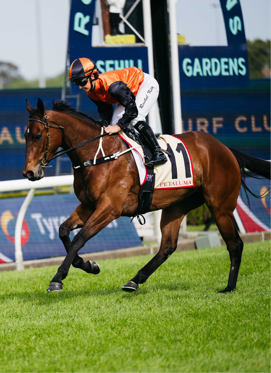 Rosehill Gardens | Sydney Races | Australian Turf Club