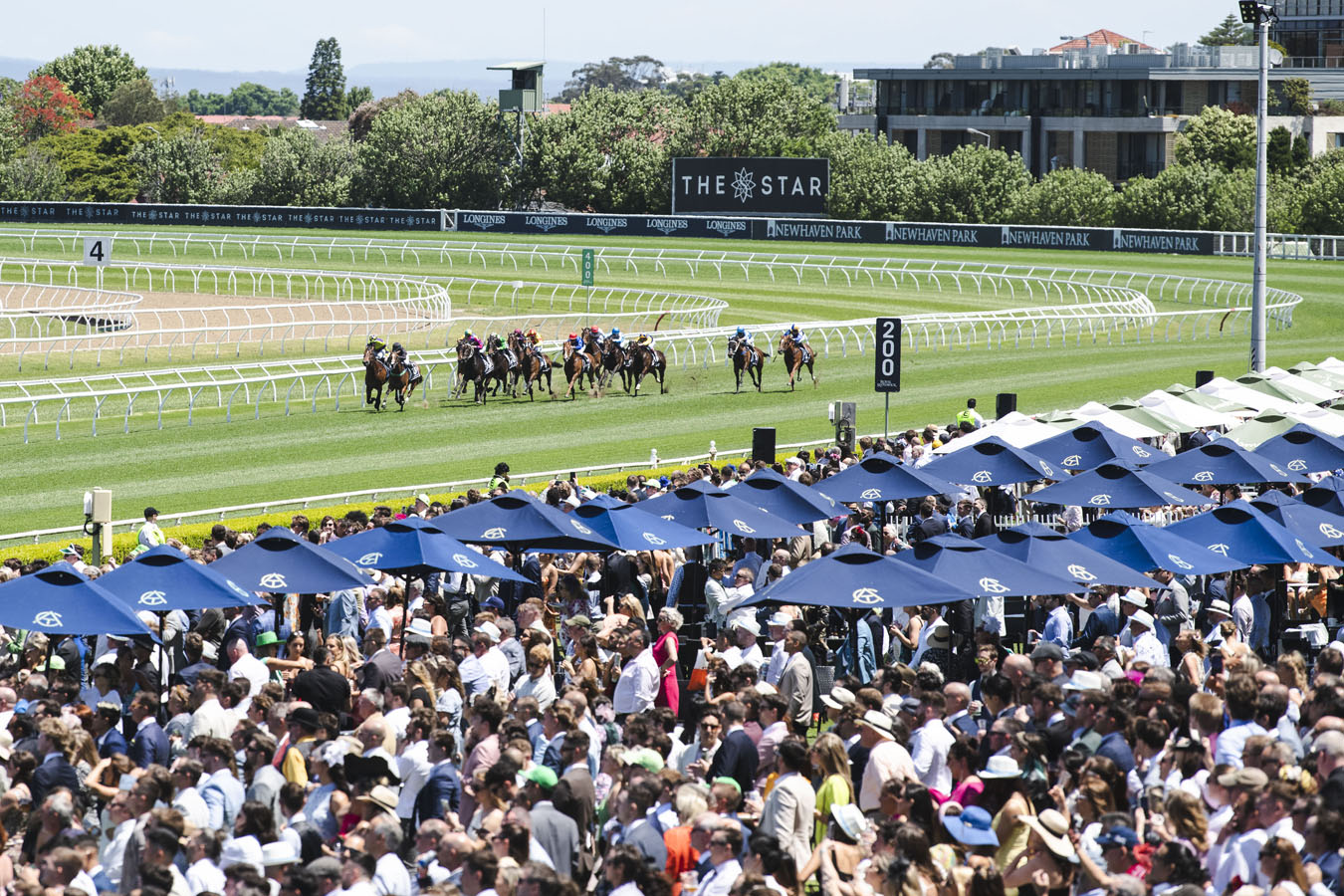 The Big Dance on Cup Day - Royal Randwick Racecourse