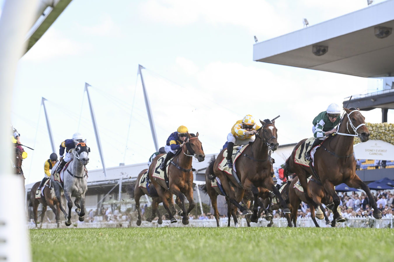 11-Race Card Set for Rosehill Gardens This Saturday