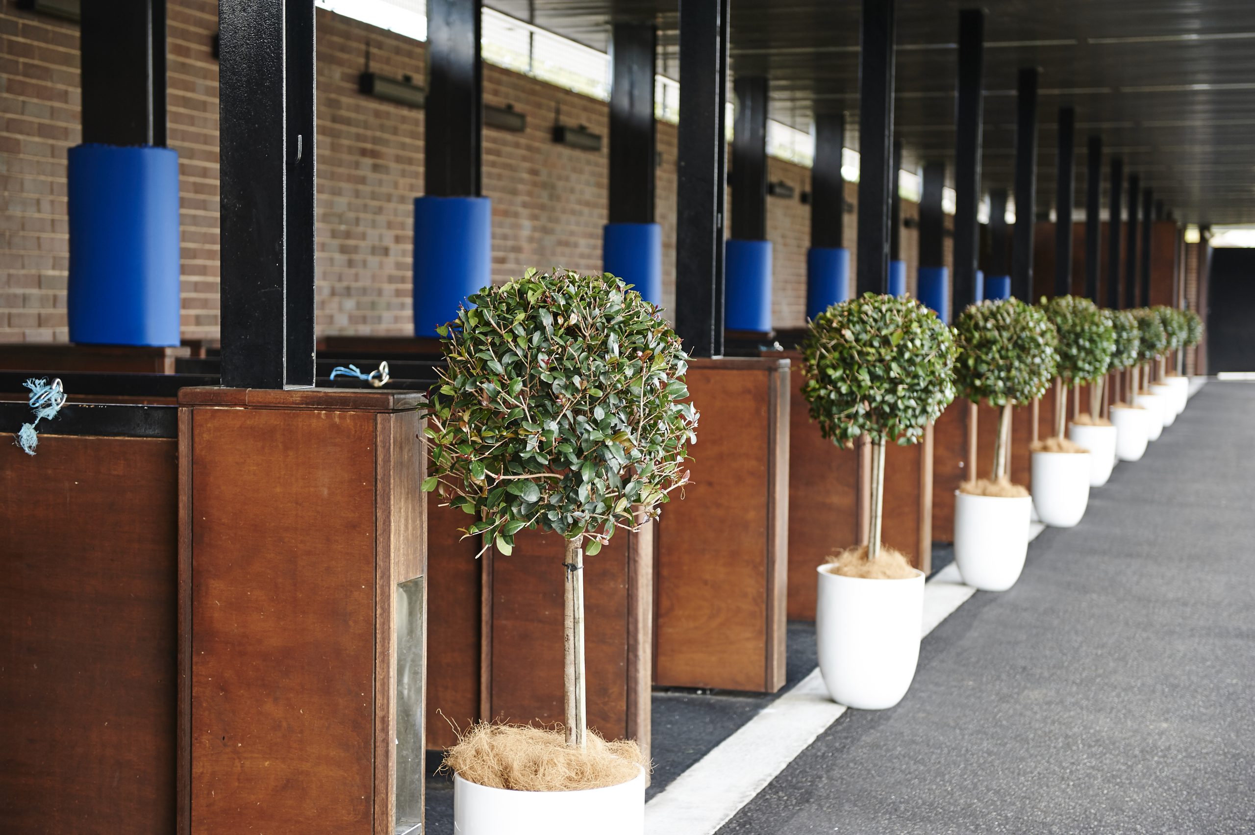 The Stalls - Royal Randwick - Australian Turf Club