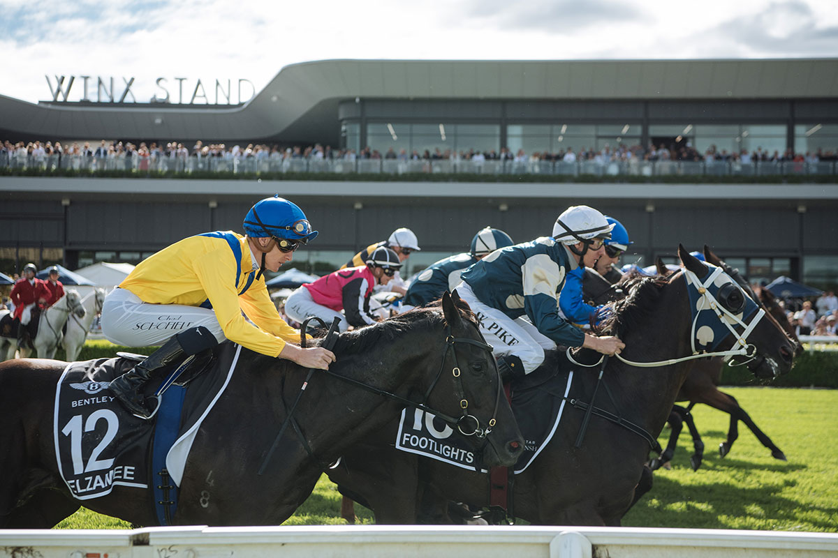 The Big Dance on Cup Day - Royal Randwick Racecourse