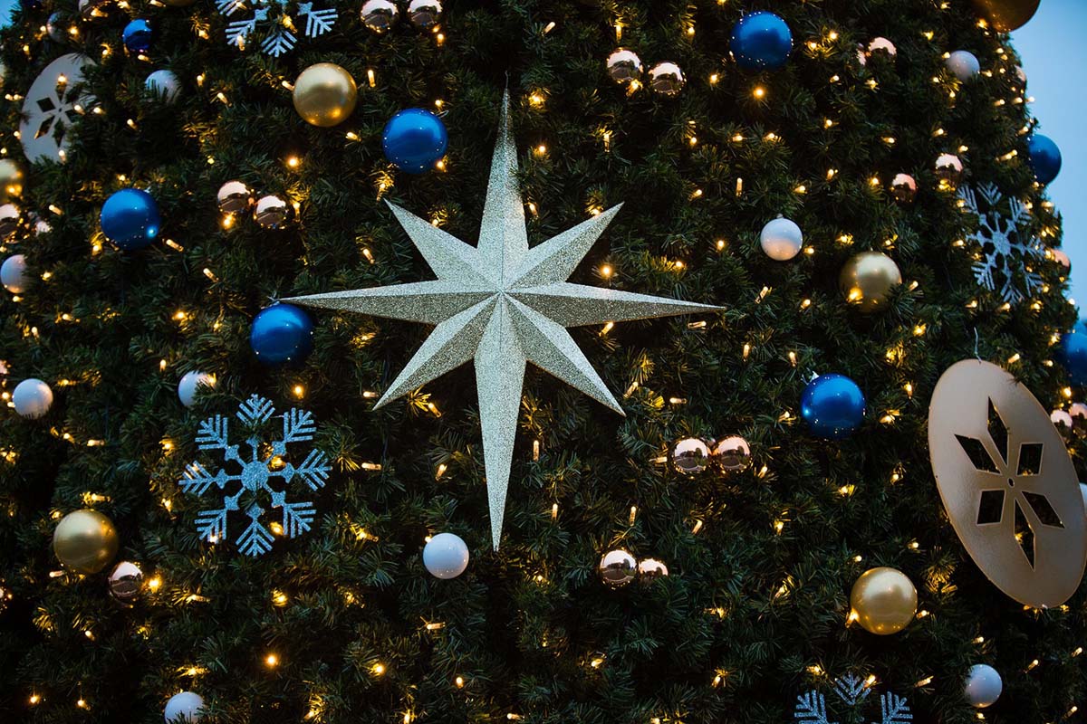 Christmas Party Function | Royal Randwick | Sydney Racing