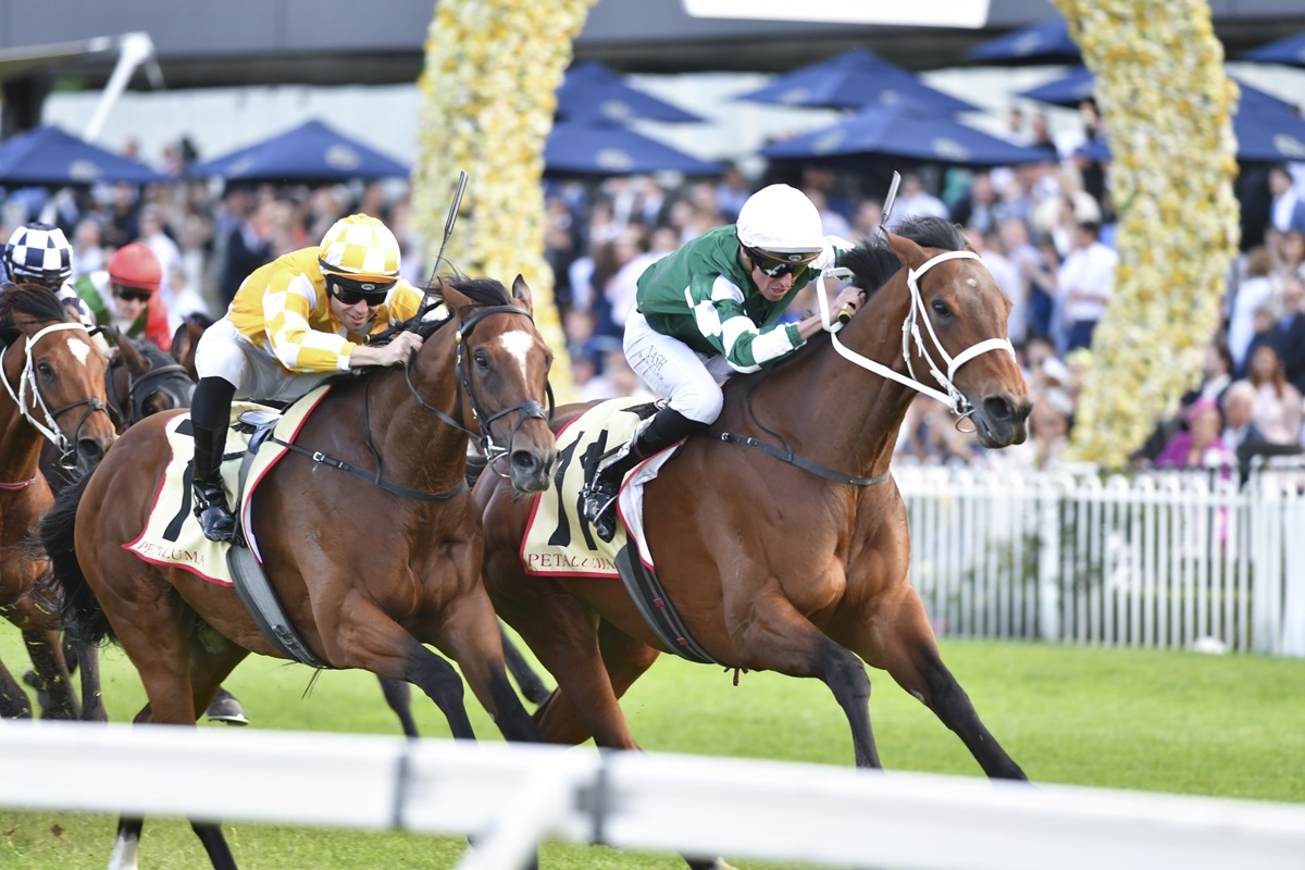 Stakes Day - Australian Turf Club