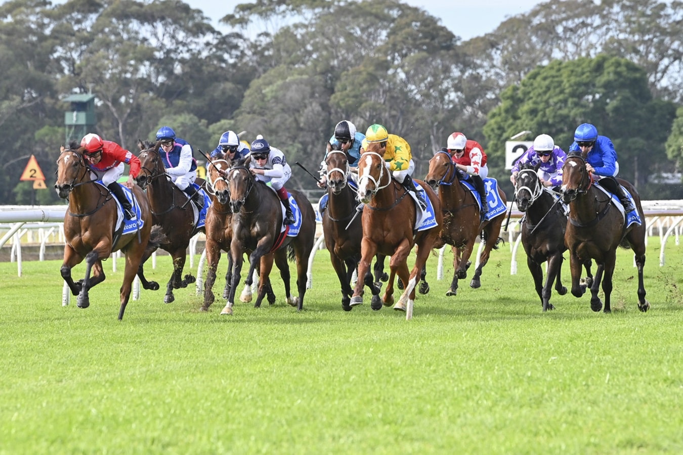 Warwick Farm Race Day - Wednesday, 2 July 2025 - Australian Turf Club