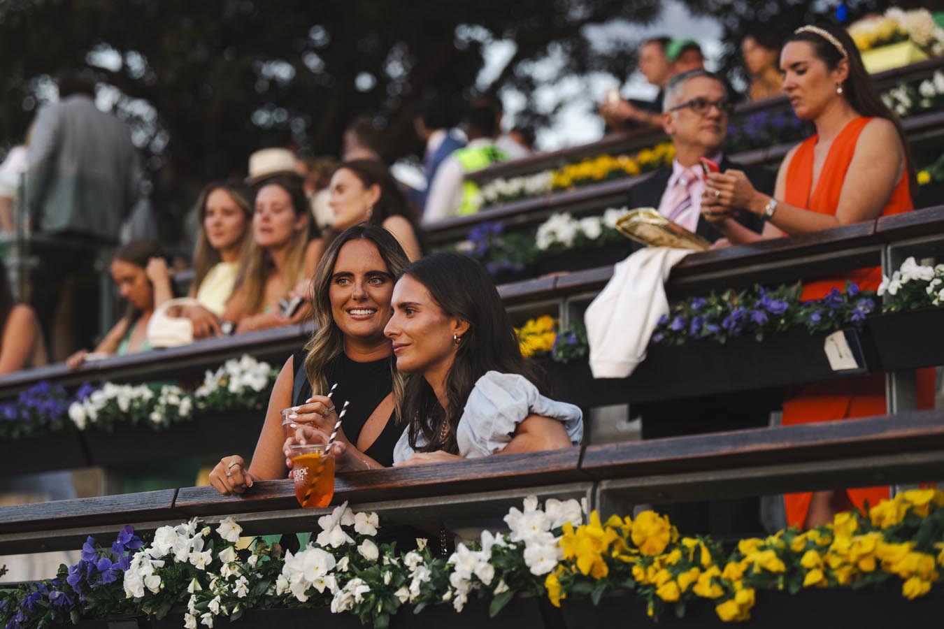 Watch the horses at Royal Randwick - Australian Turf Club