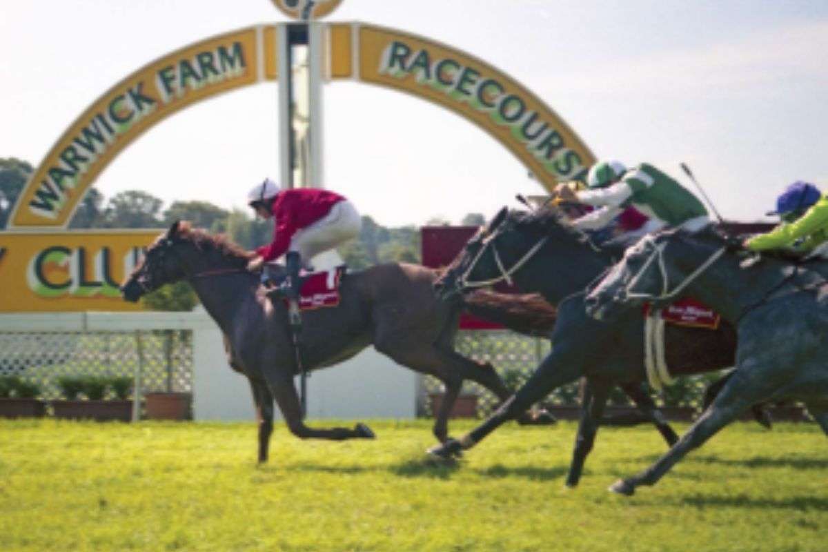 Celebrating 100 Years of Horse Racing at Warwick Farm
