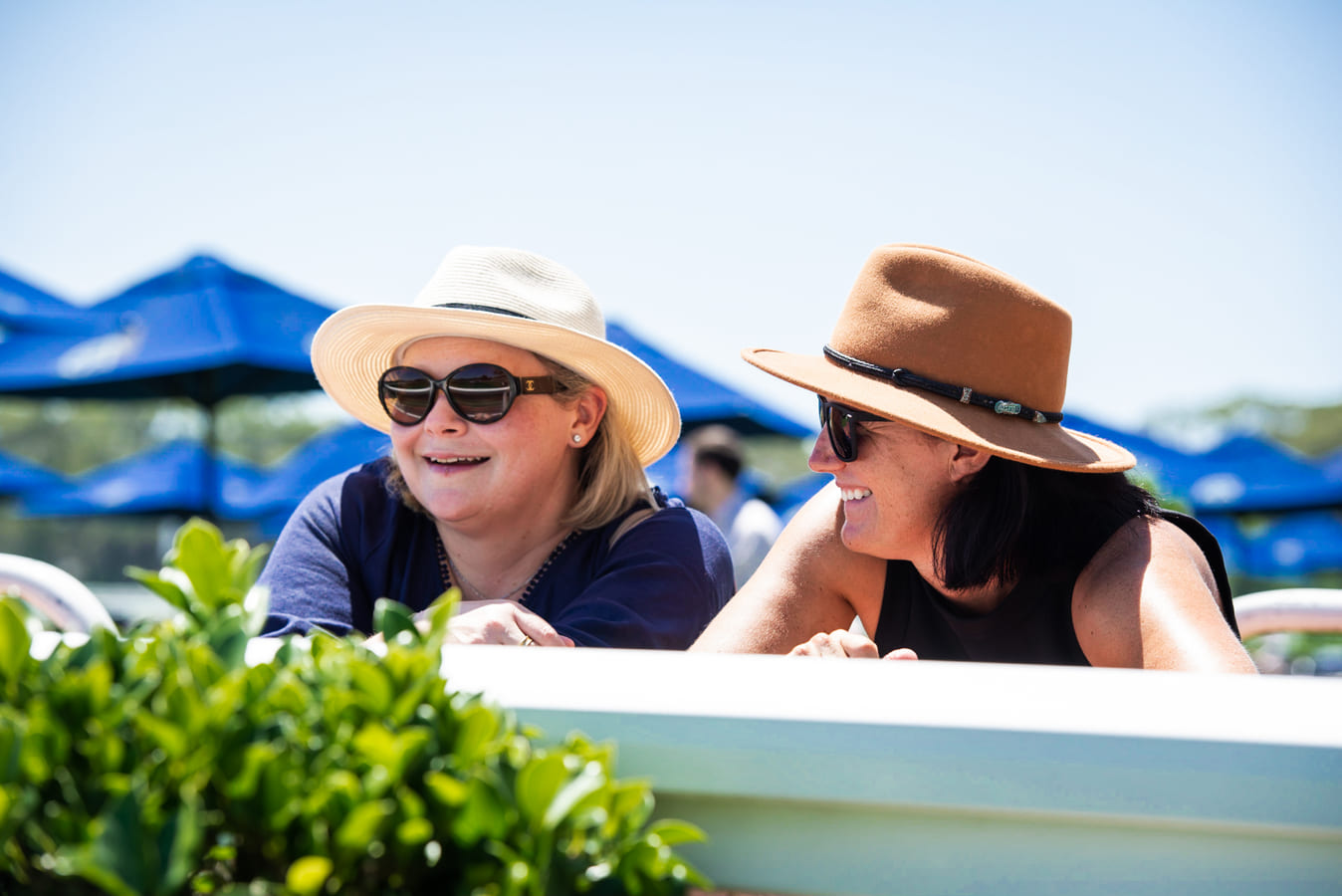 Warwick Farm Midweek | 20 August 2025 - Australian Turf Club